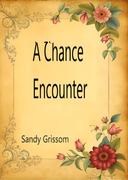 Draft2Digital | A Chance Encounter | Book by Sandy Grissom